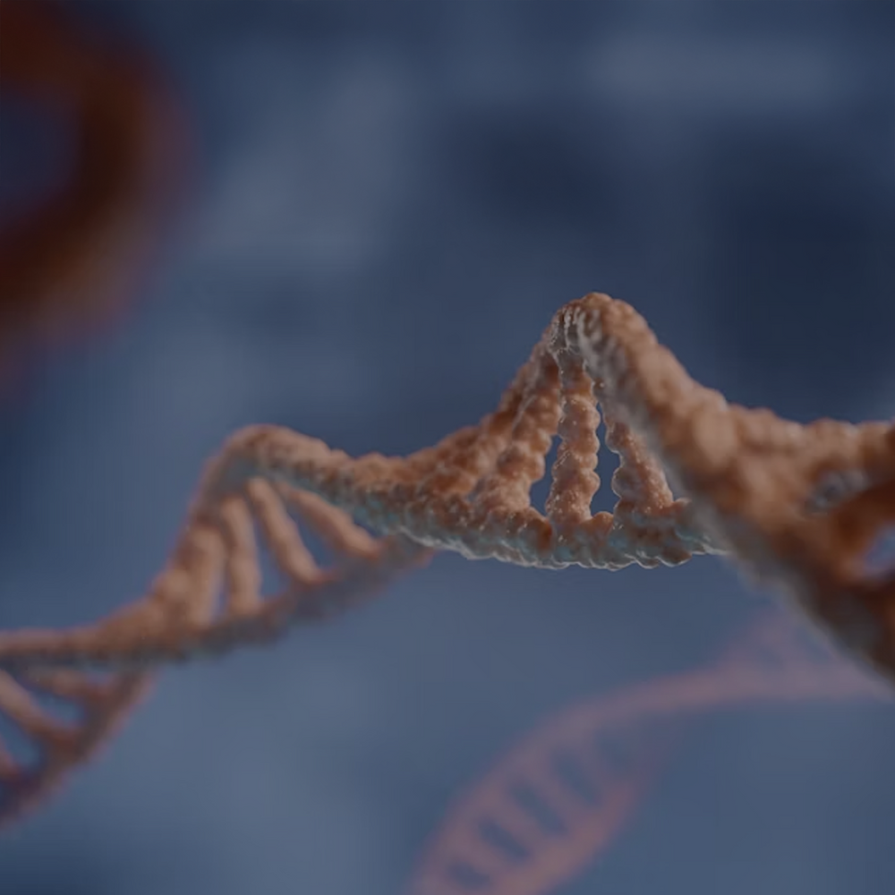 Colecciones – Mer Root Lab