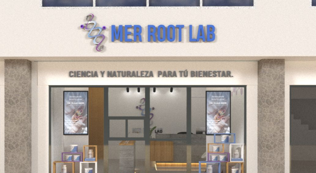 Sobre MER ROOT LAB - Información de la empresa – Mer Root Lab